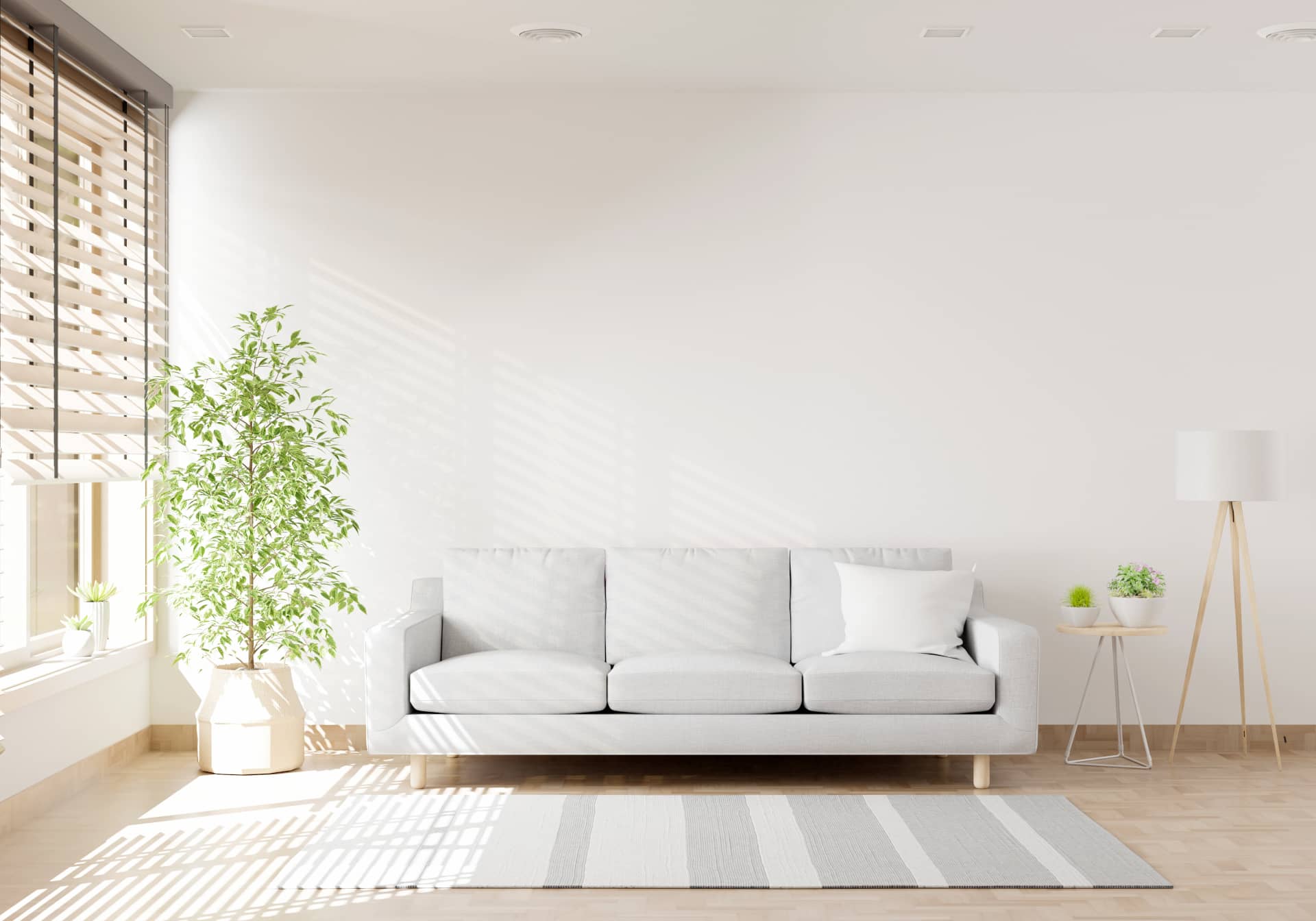 Green Home Construction